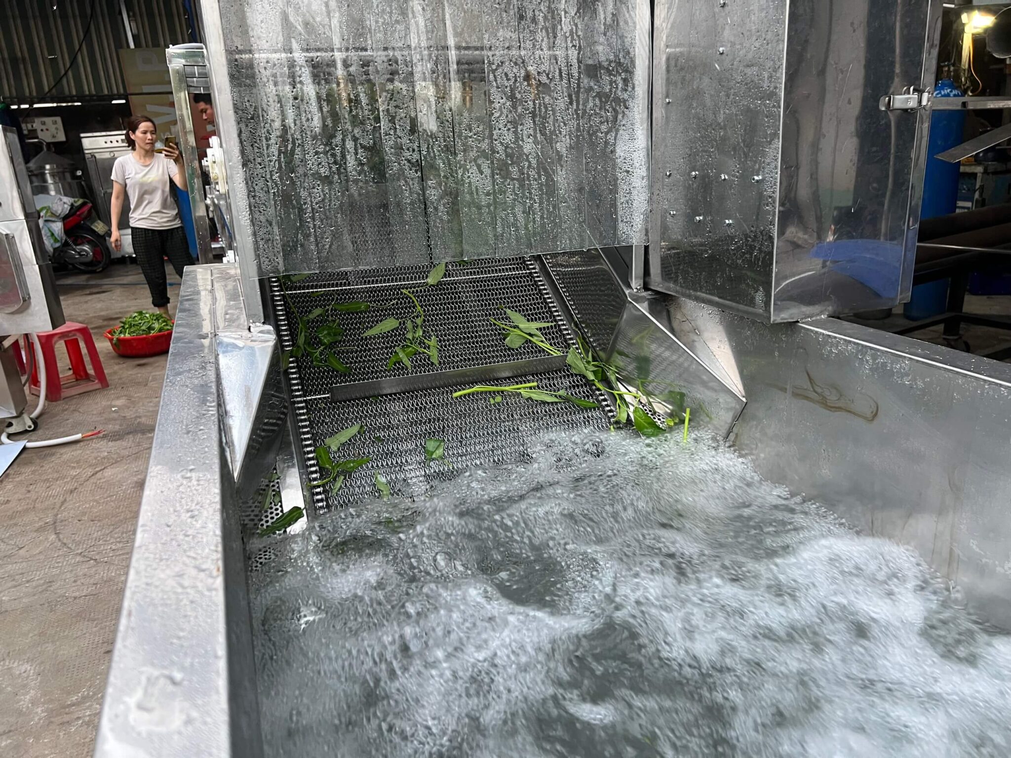 Máy rửa rau công nghiệp sục khí ozone- Inox Thanh Hưng