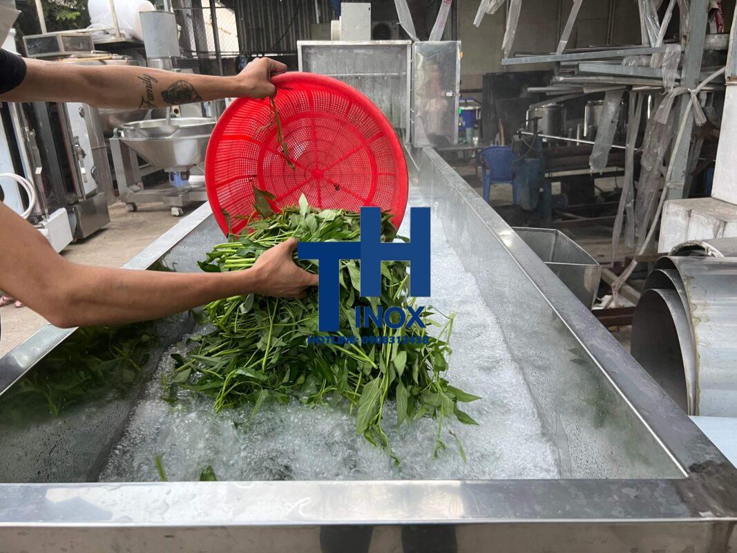 Máy rửa rau công nghiệp sục khí ozone- Inox Thanh Hưng
